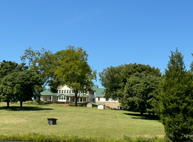 An Introduction to Camera Angles & Shot Types